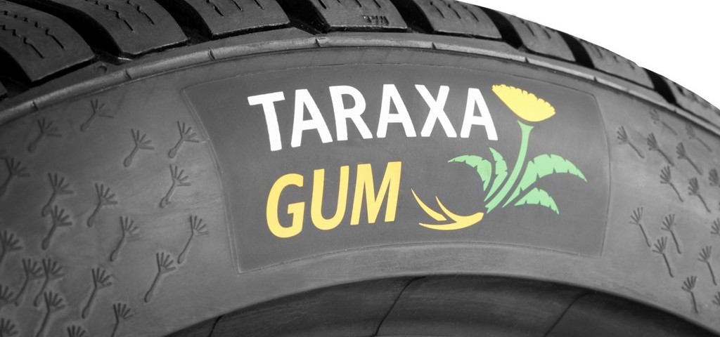 Continental Taraxagum: le gomme col Tarassaco | Cavalli Vapore